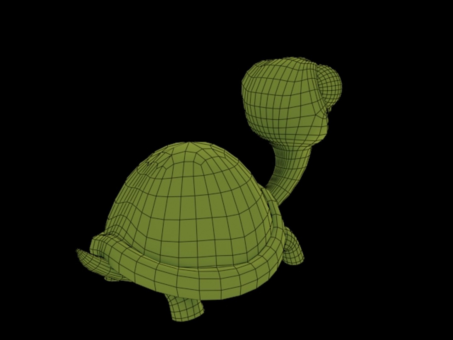 3d Cartoon Turtle Model
