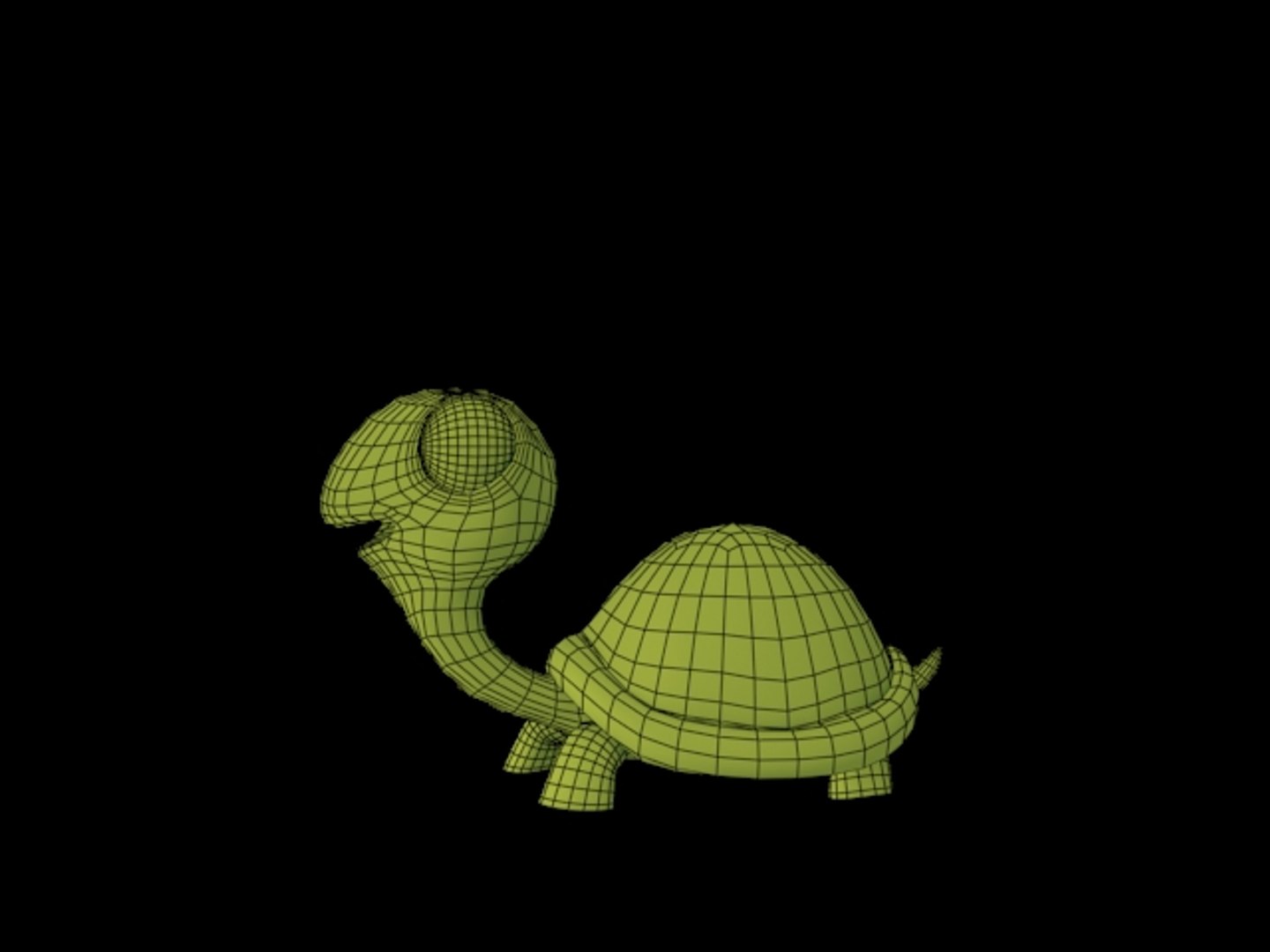 3d Cartoon Turtle Model