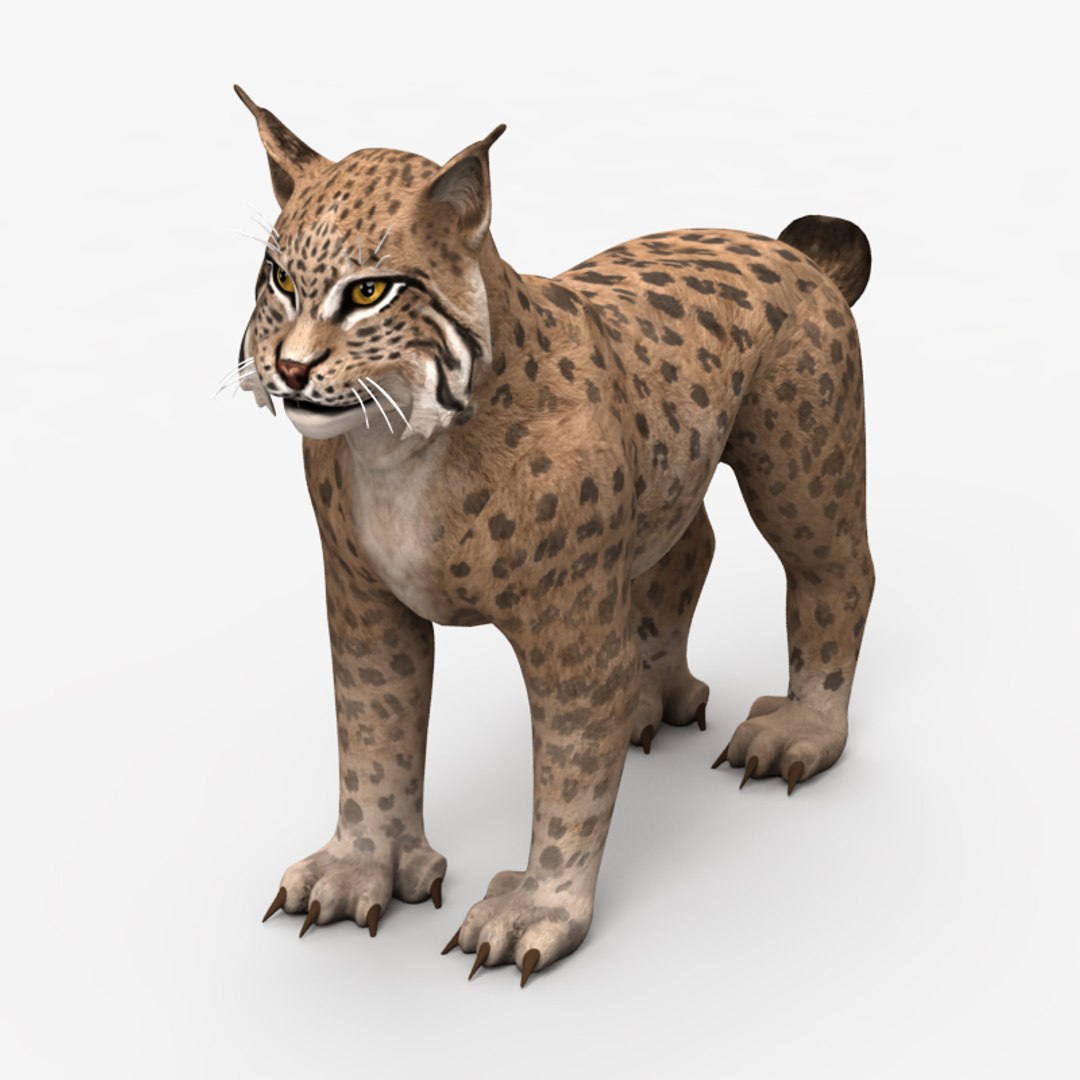 lynx 3d max