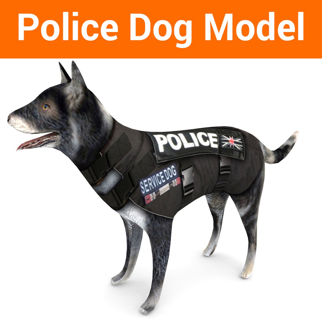 Police German Shepherd Dog 3D Model - TurboSquid 1195235