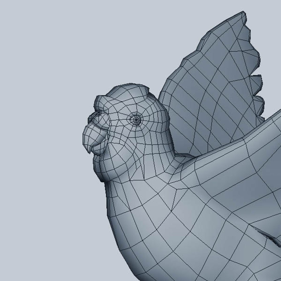 Parrot 3d Model