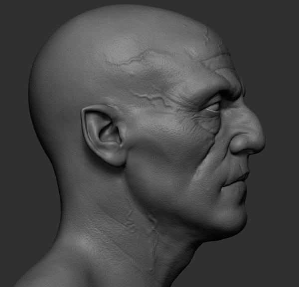Realistic head jaw 3D model - TurboSquid 1325490
