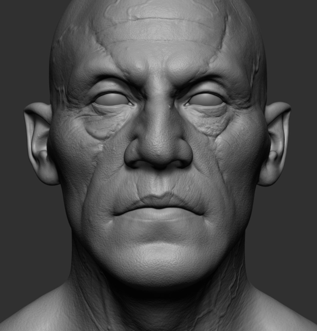 Realistic Head Jaw 3D Model - TurboSquid 1325490