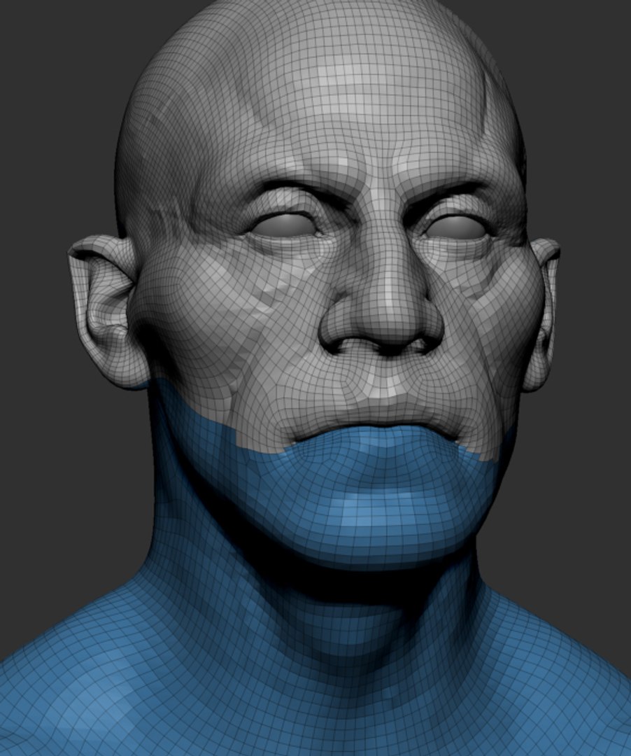 Realistic Head Jaw 3D Model - TurboSquid 1325490