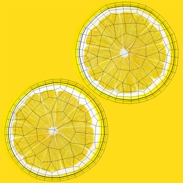 3D lemon 2 model - TurboSquid 1223901