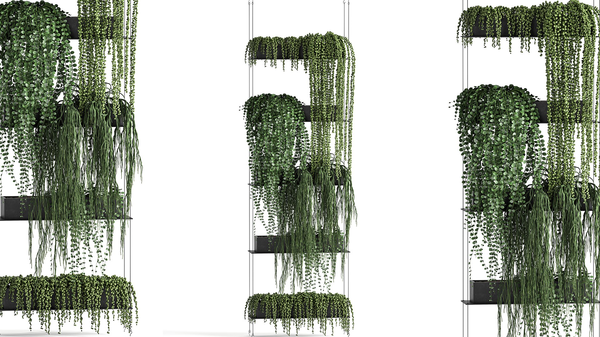 Vertical Gardening 3D Model - TurboSquid 1706835