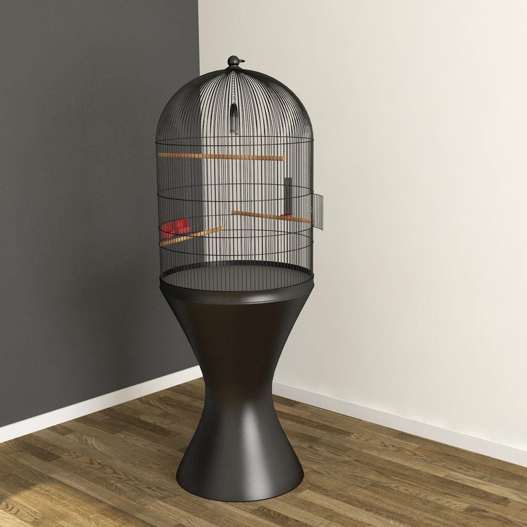 3d Bird Cage