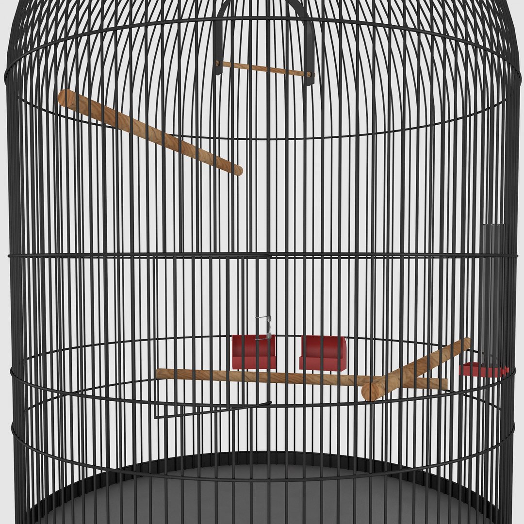 3d Bird Cage