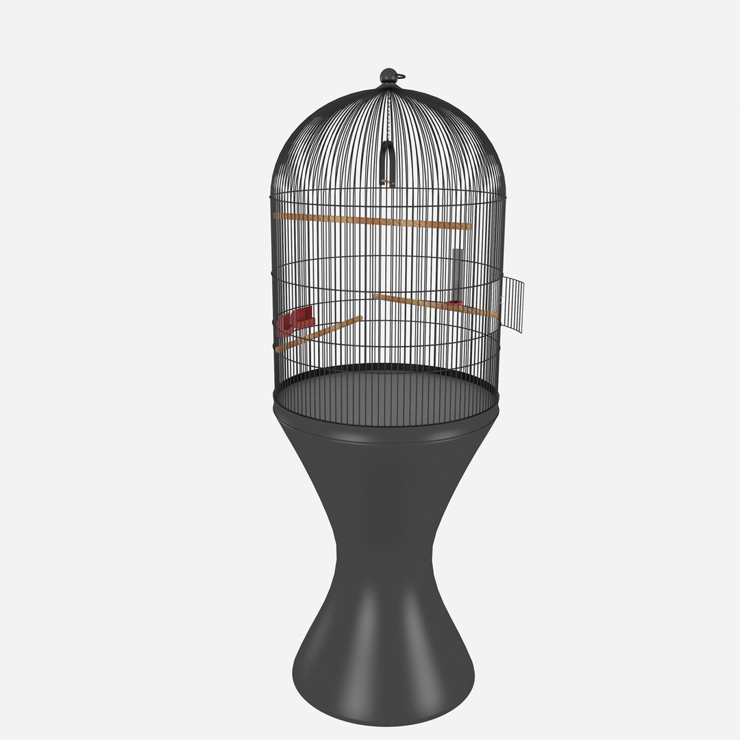 3d Bird Cage