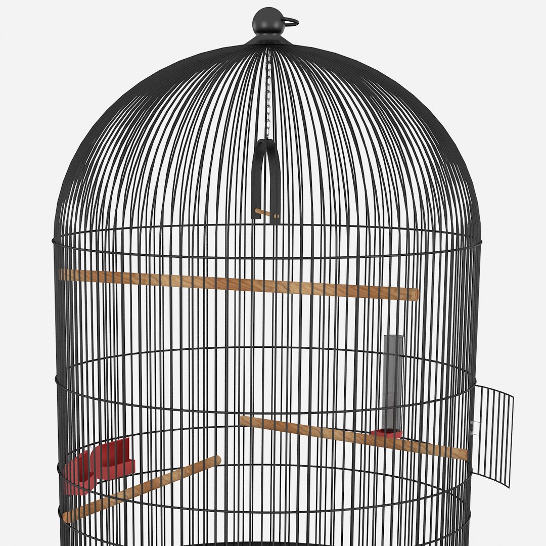 3d Bird Cage