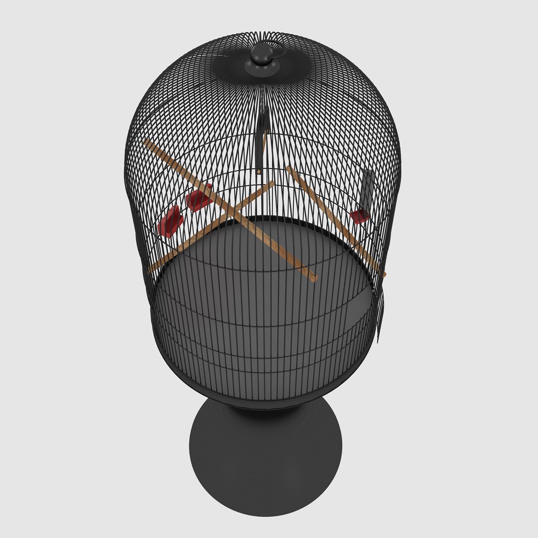 3d Bird Cage