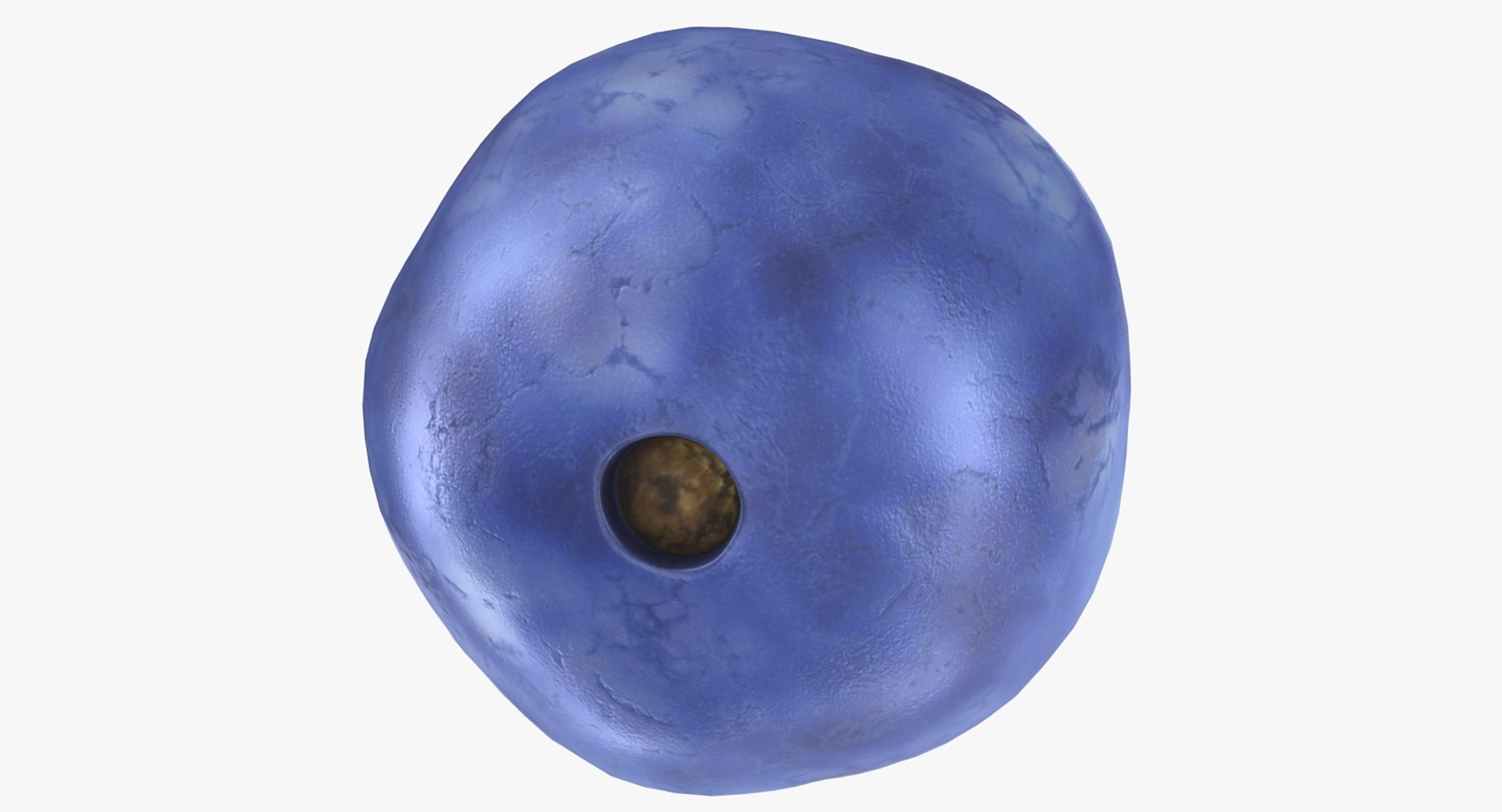 Realistic Blueberry 3D Model - TurboSquid 1193574