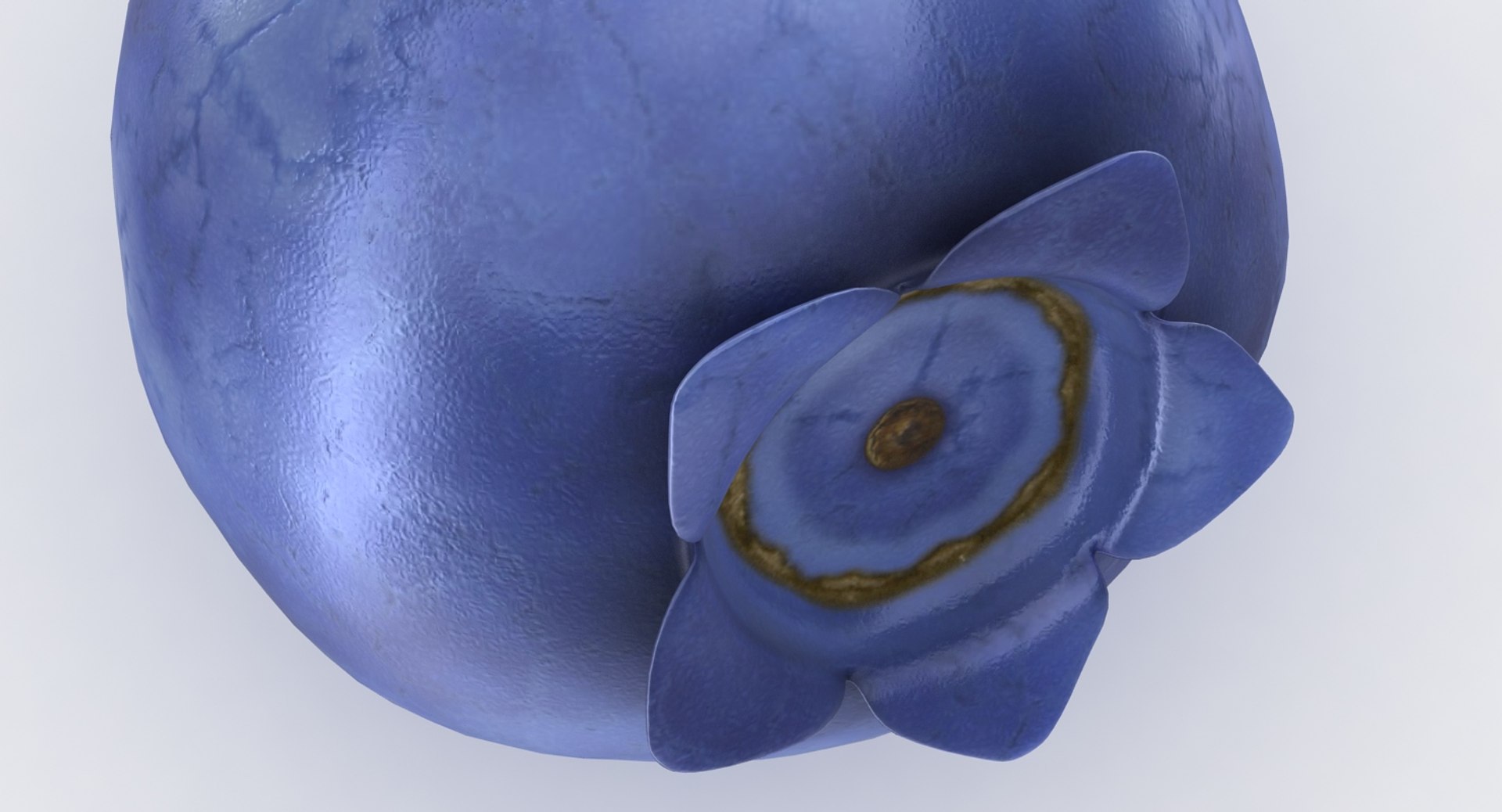 Realistic Blueberry 3D Model - TurboSquid 1193574