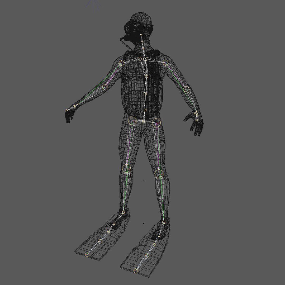 Diver Basic Ik R15 3D - TurboSquid 1257963