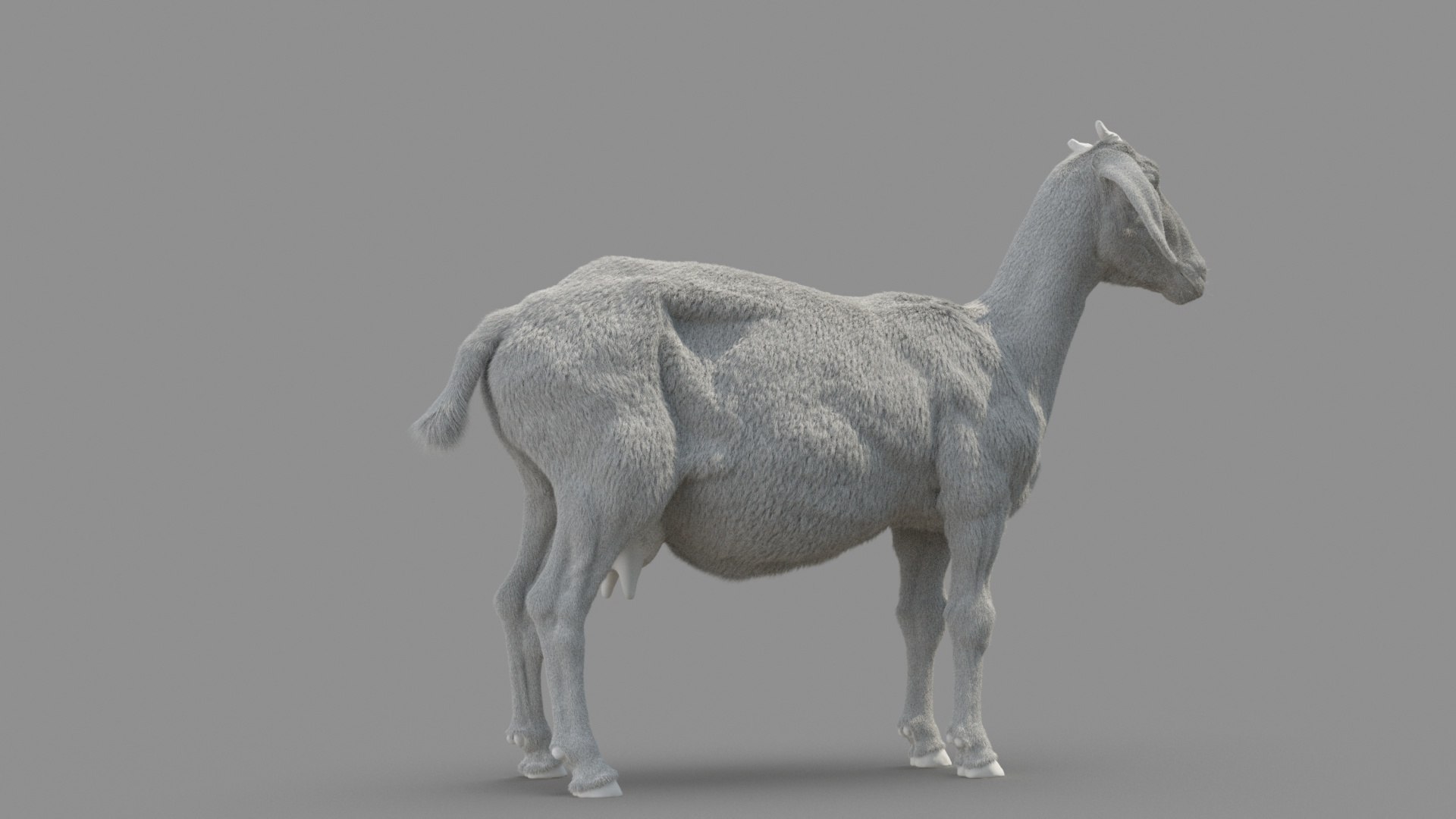 Ornatrix Hair Zbrush 3D Model - TurboSquid 1665341