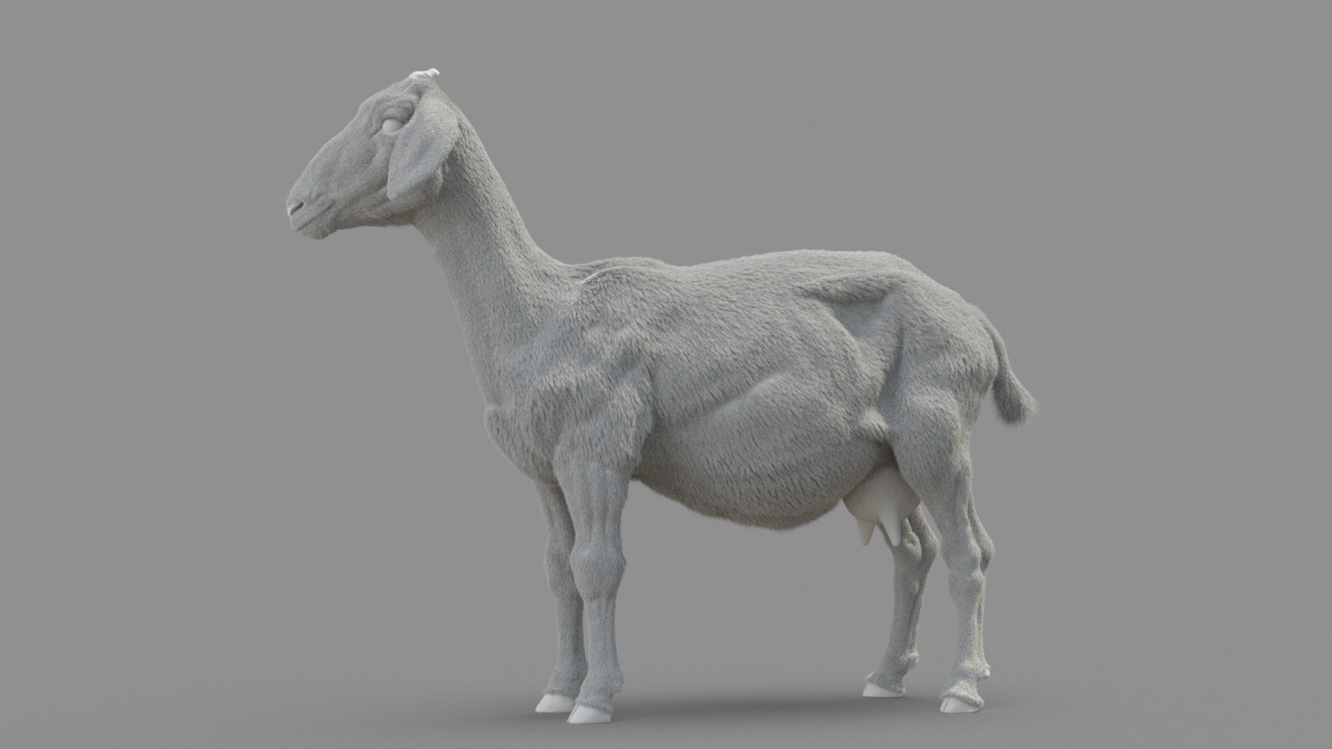 Ornatrix Hair Zbrush 3D Model - TurboSquid 1665341