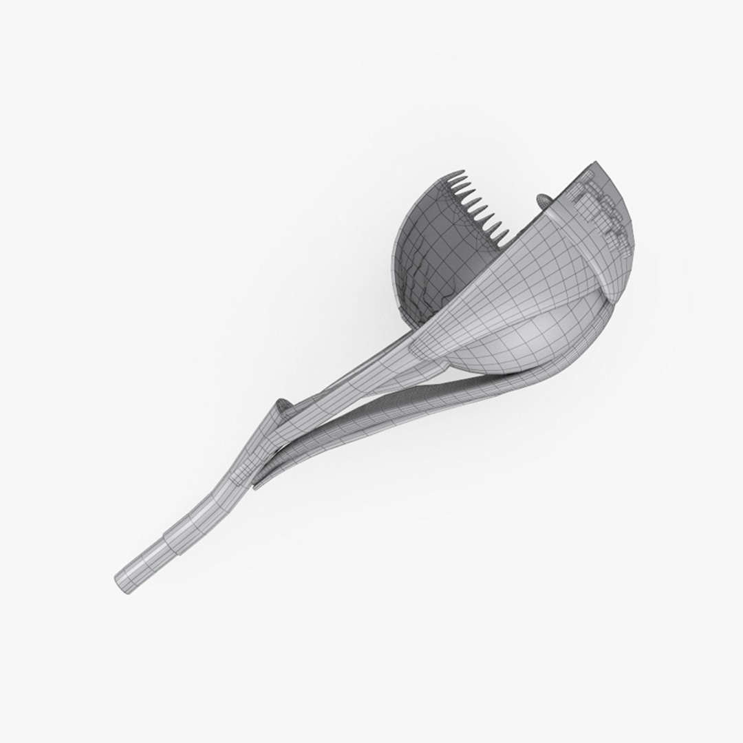 modelo 3d Human Eye Cross Section - TurboSquid 1994110