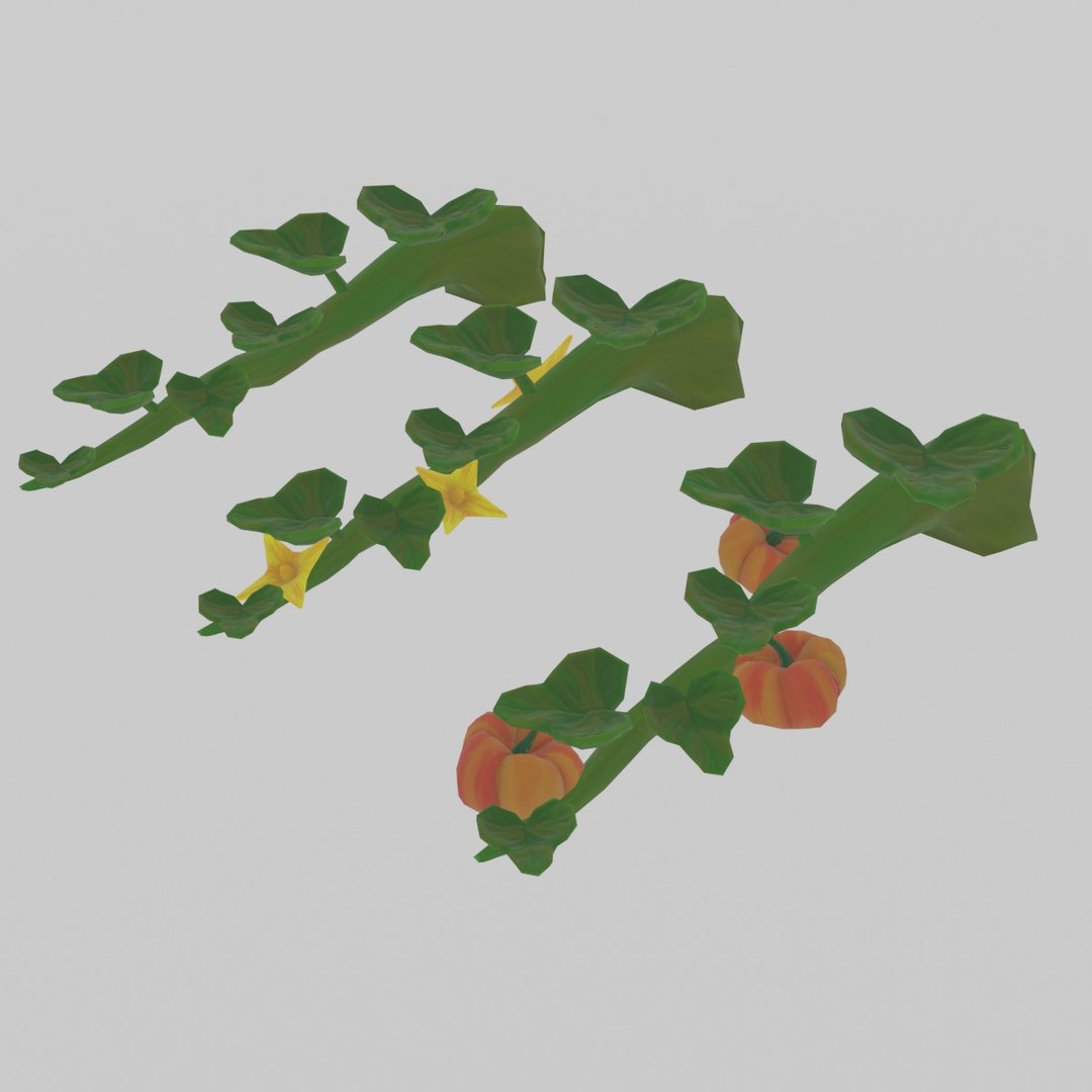 Free Game Ready Pumpkin Grow Stages 3D Model - TurboSquid 2148549