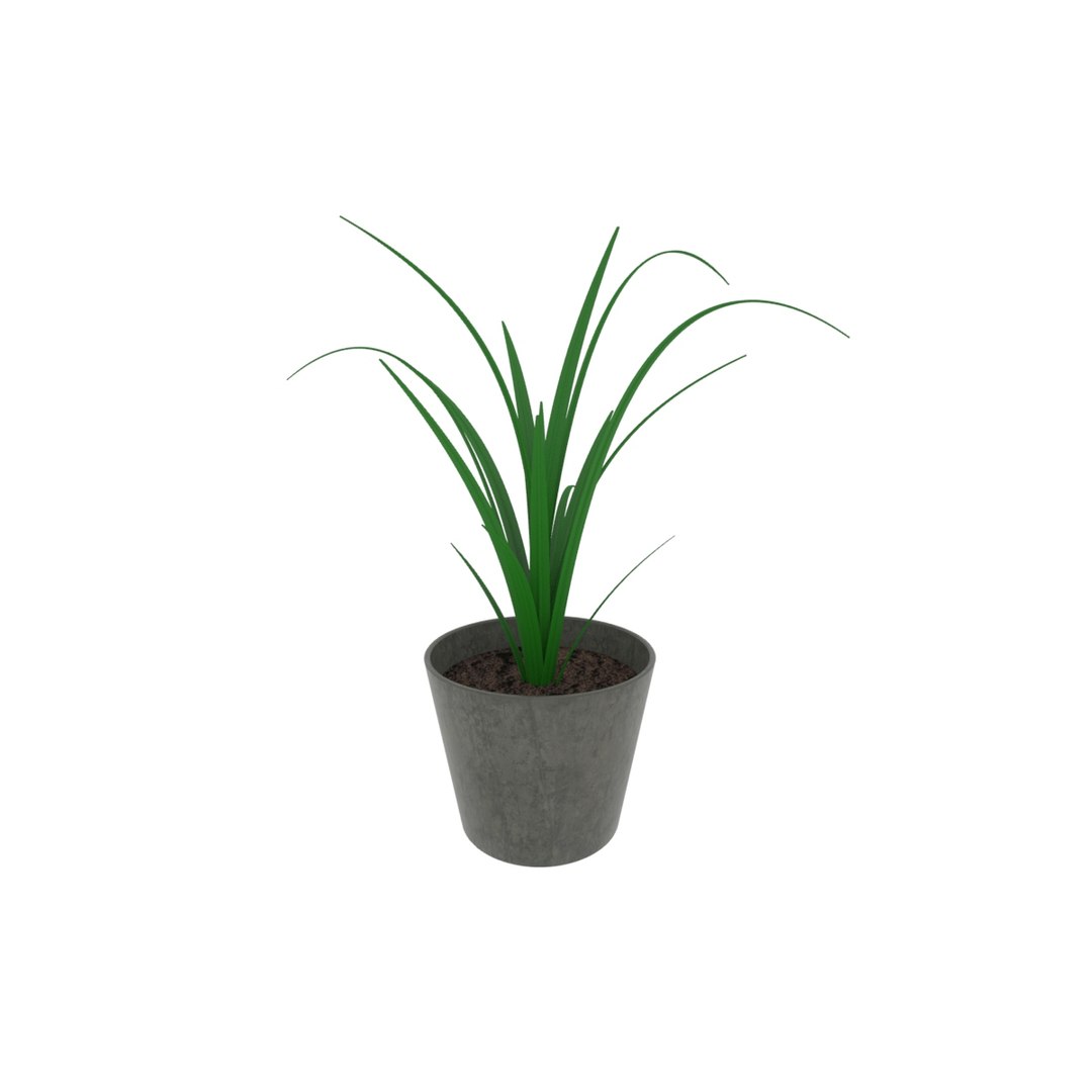 GRASS PLANT Model - TurboSquid 2119496