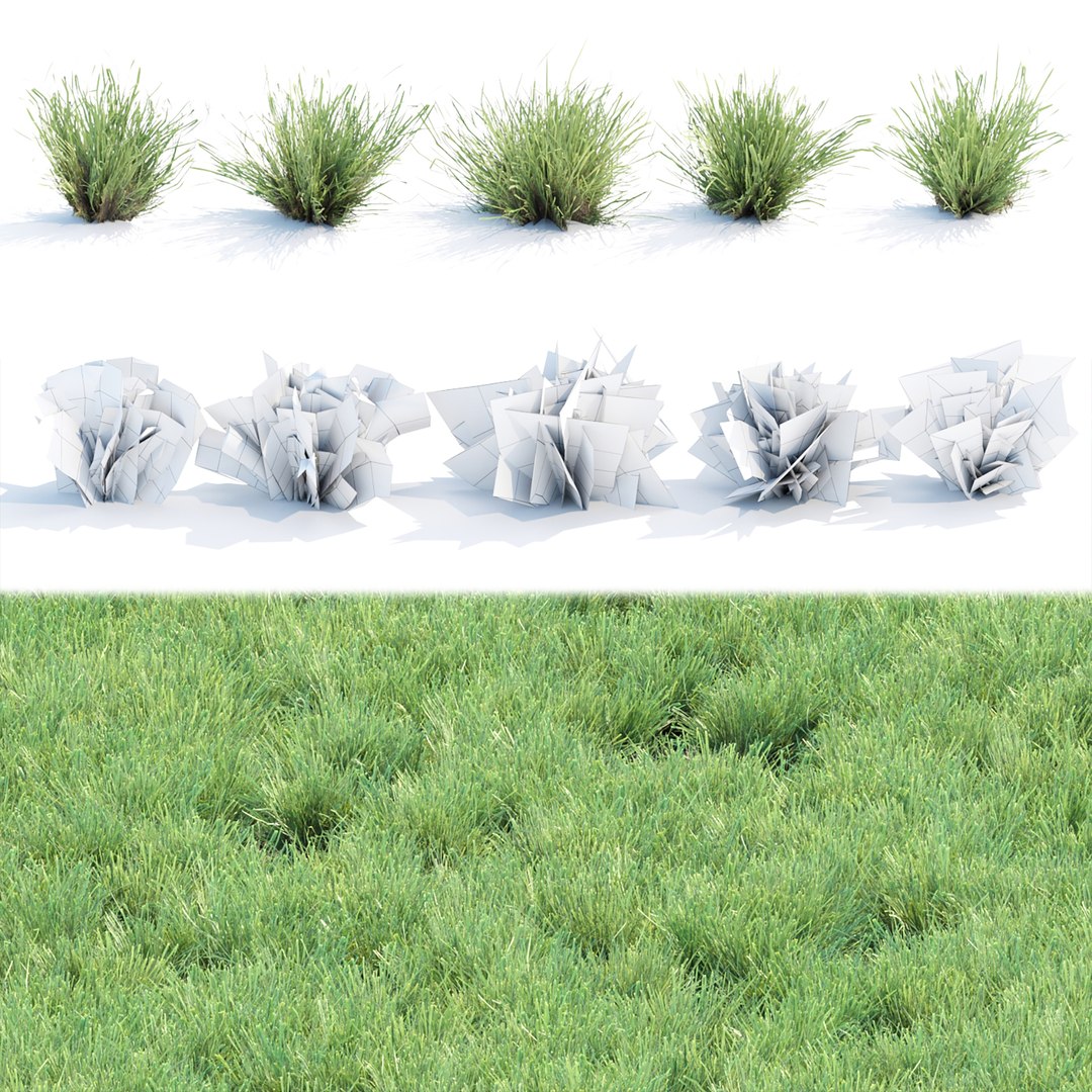 Lowpoly Grass Collection Vol 174 3D Model - TurboSquid 2004426