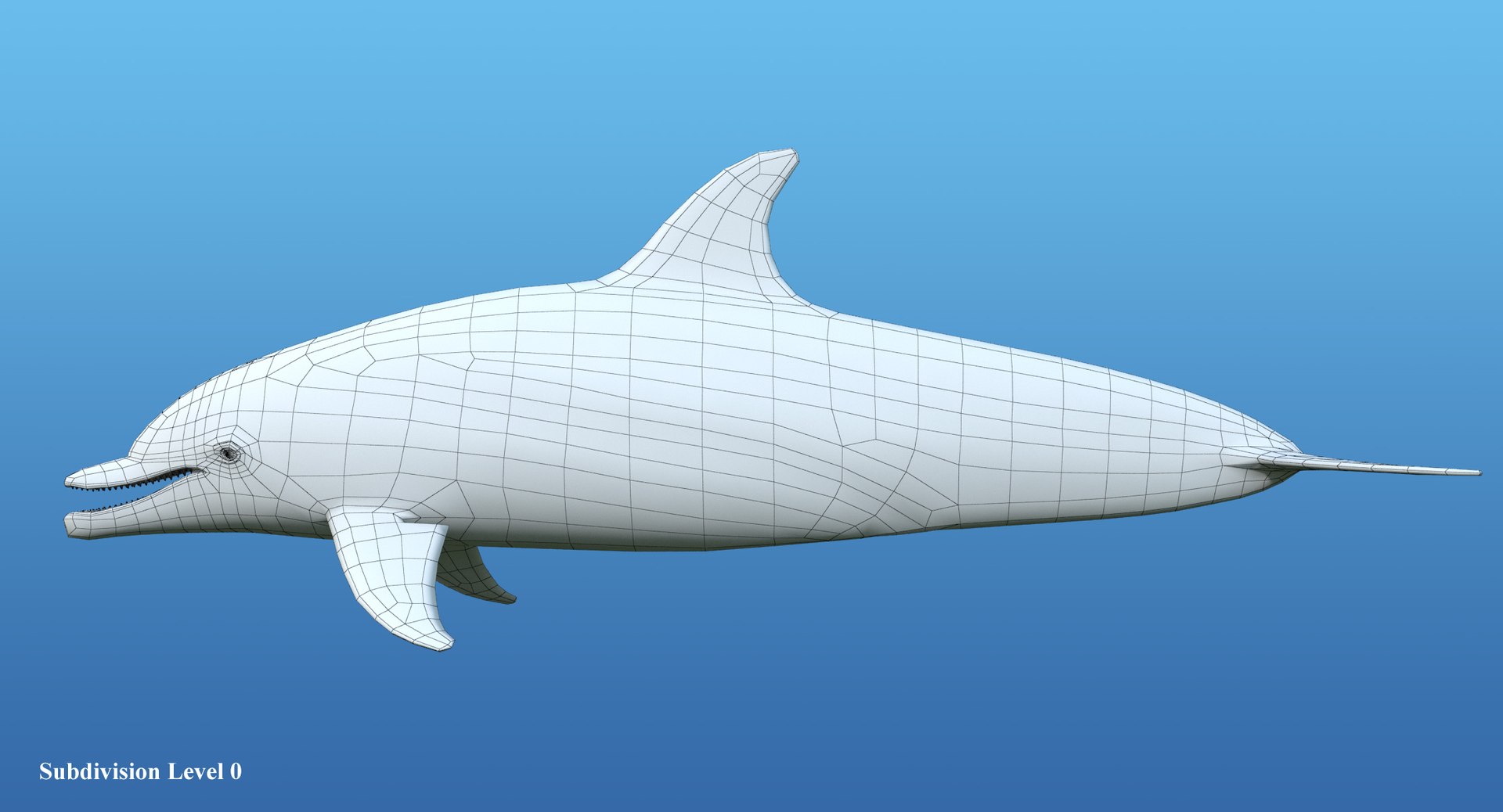 bottlenose dolphin obj