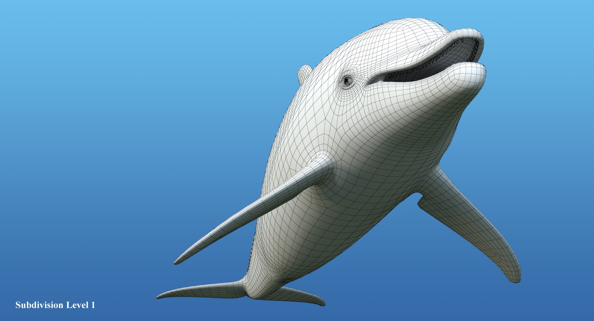 bottlenose dolphin obj