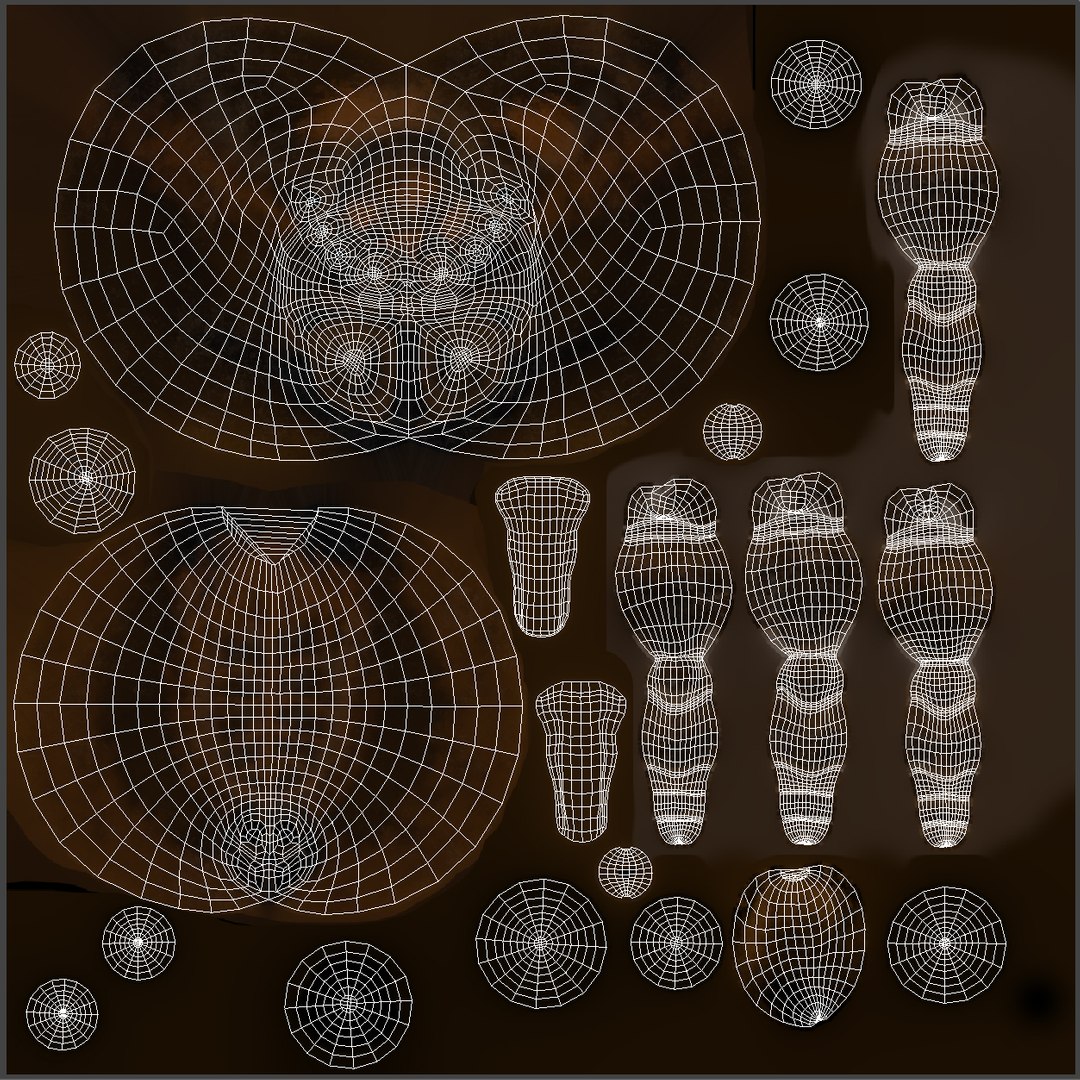 Jumping Spider Static Model - TurboSquid 2009748