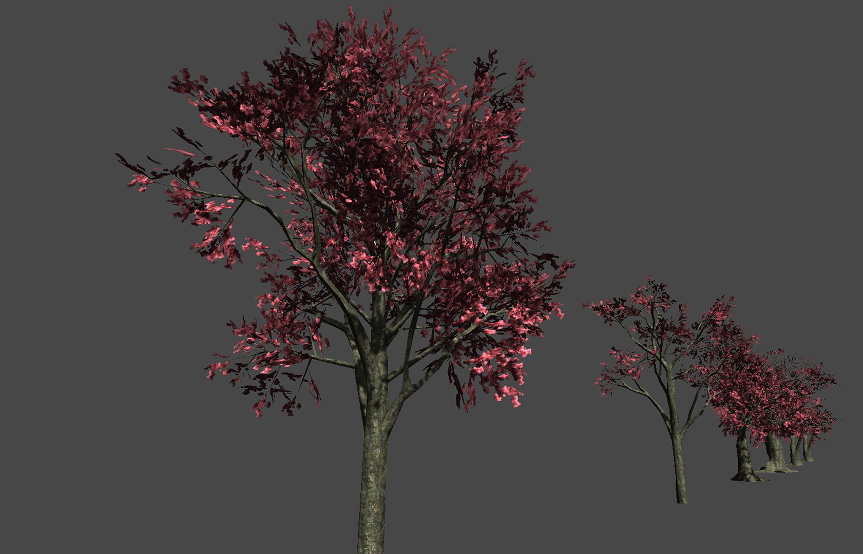 Broadleave Trees 3D Model - TurboSquid 1616303