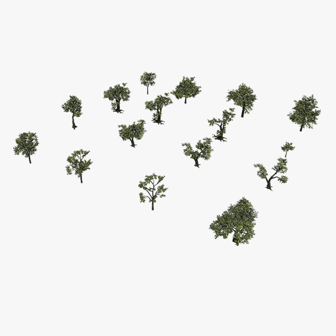 Broadleave Trees 3D Model - TurboSquid 1616303