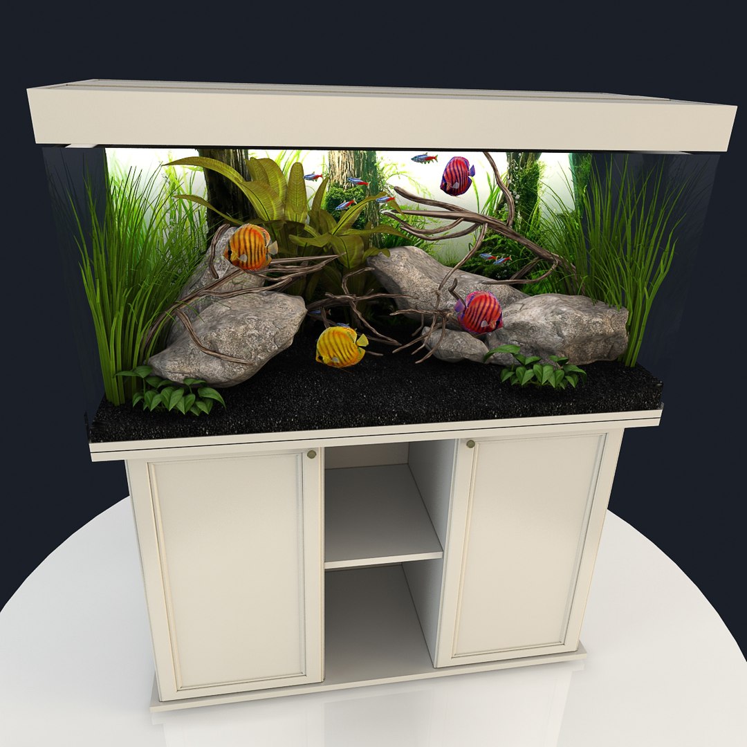 Aquarium Tropical 3d Model