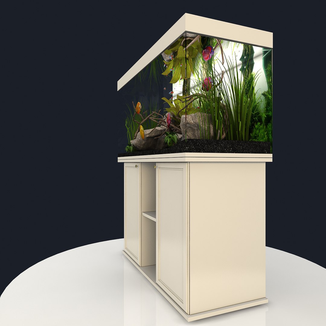 Aquarium Tropical 3d Model