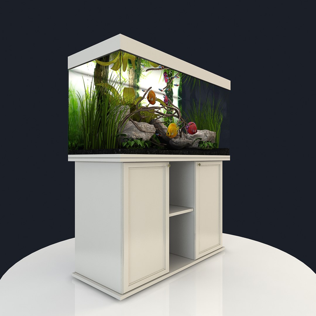 Aquarium Tropical 3d Model