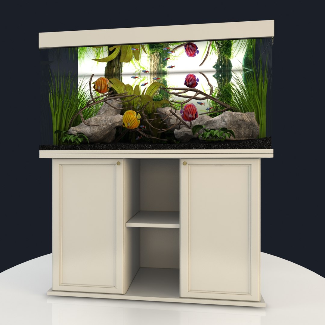 Aquarium Tropical 3d Model