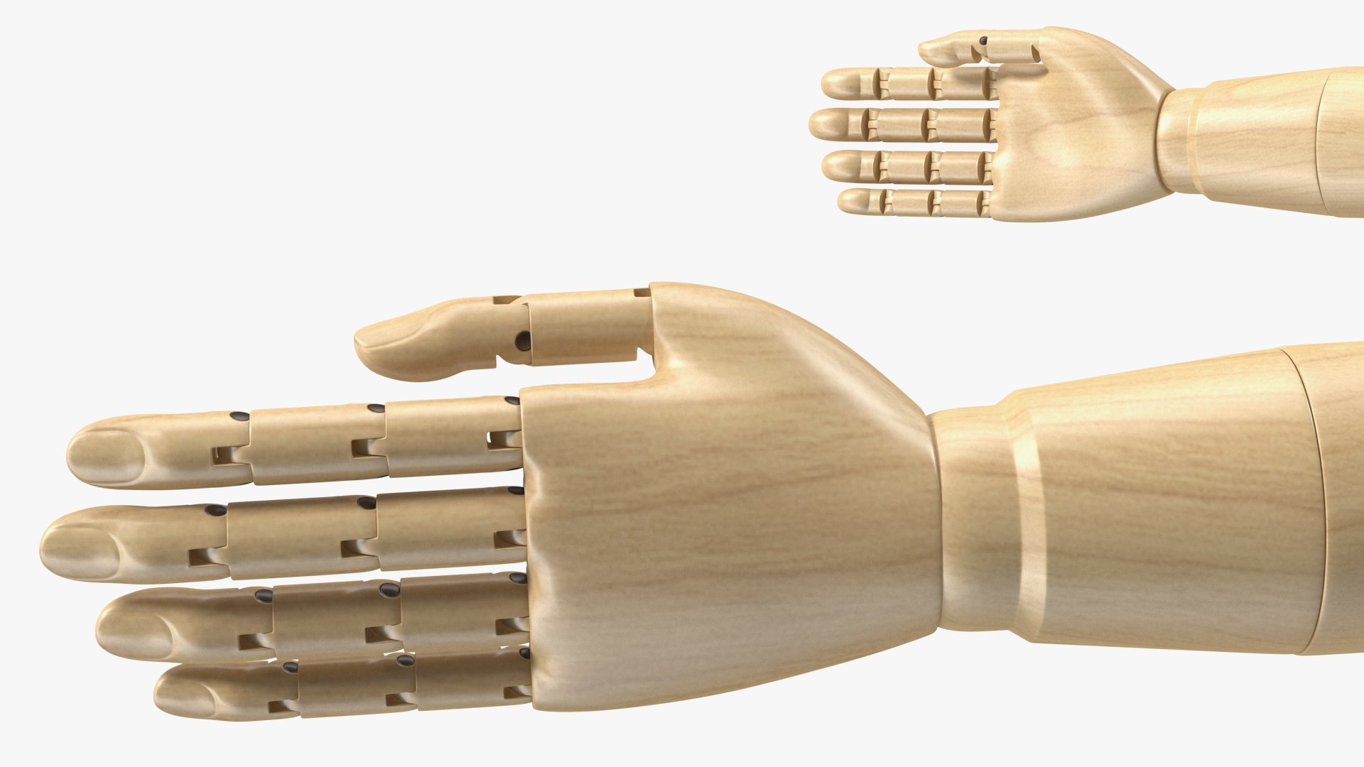 3D Female Flexible Half Body Mannequin Torso model - TurboSquid 1855645