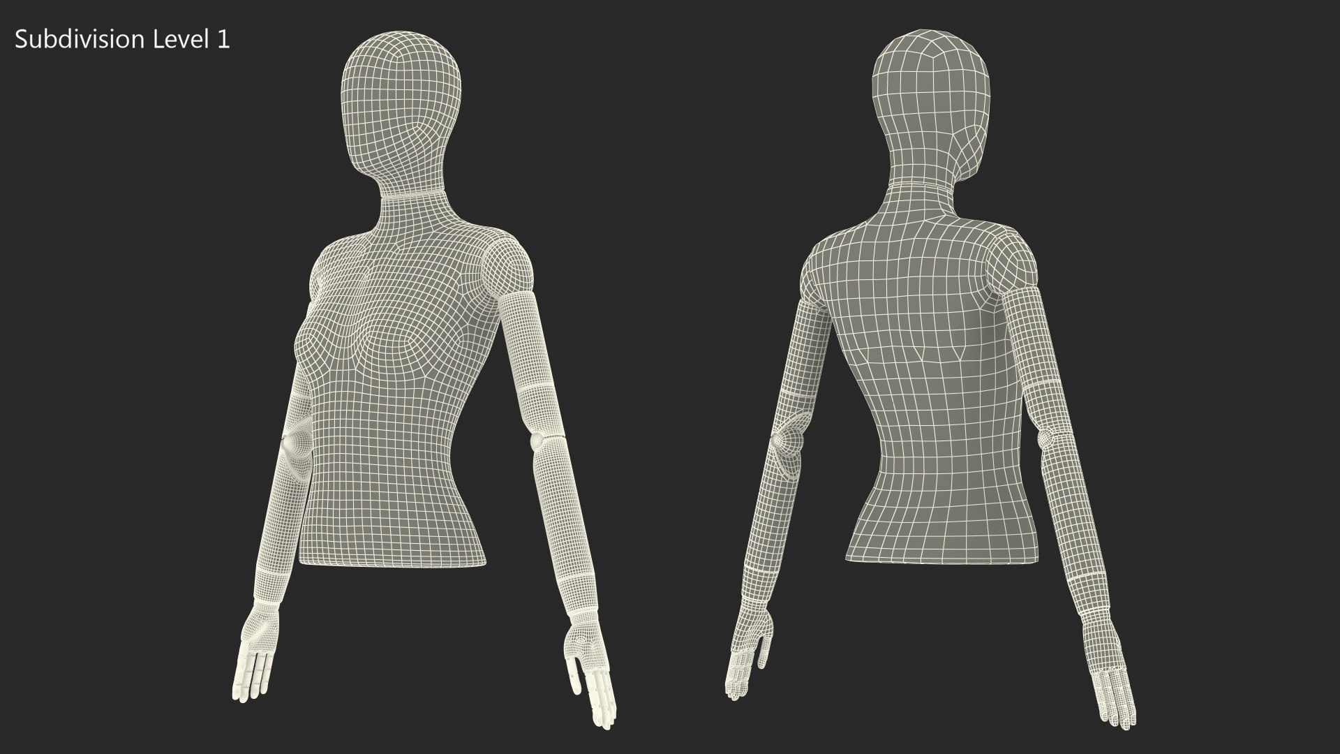 3D Female Flexible Half Body Mannequin Torso model - TurboSquid 1855645