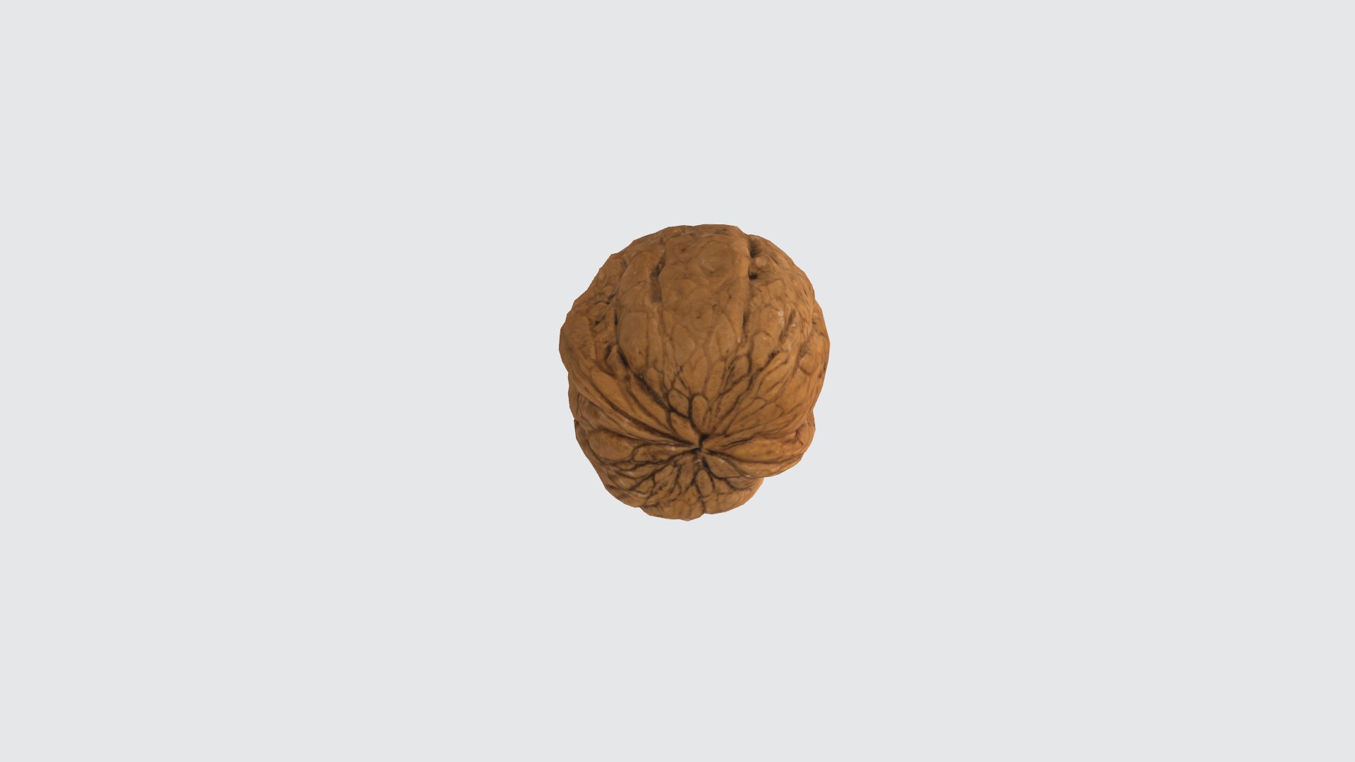 Realistic Walnut 3D Model - TurboSquid 2193504