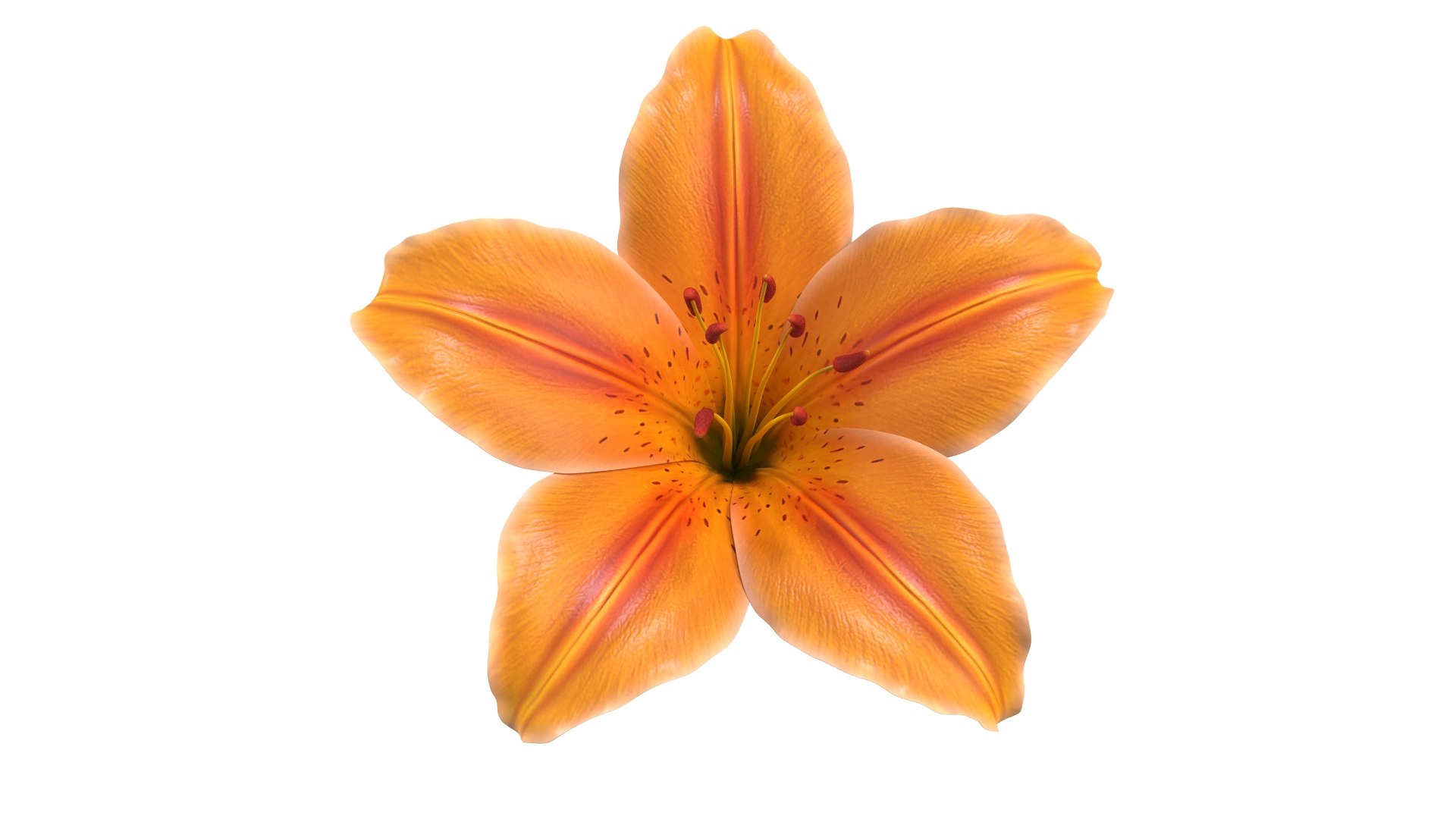 Realistic Orange Lily 3D Model - High-Quality 4K PBR Asset 3D Model ...