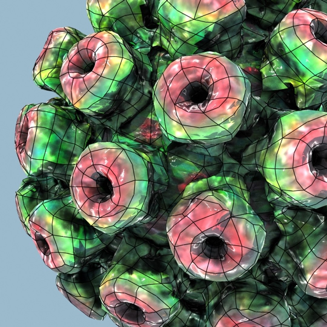 3d Model Polyomavirus