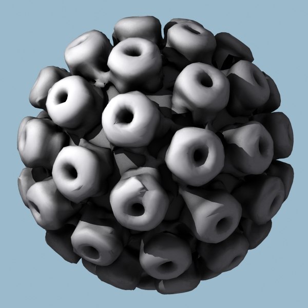 3d model polyomavirus