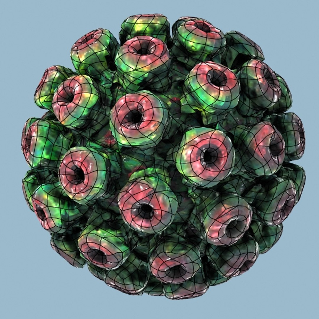 3d Model Polyomavirus