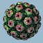 3d model polyomavirus