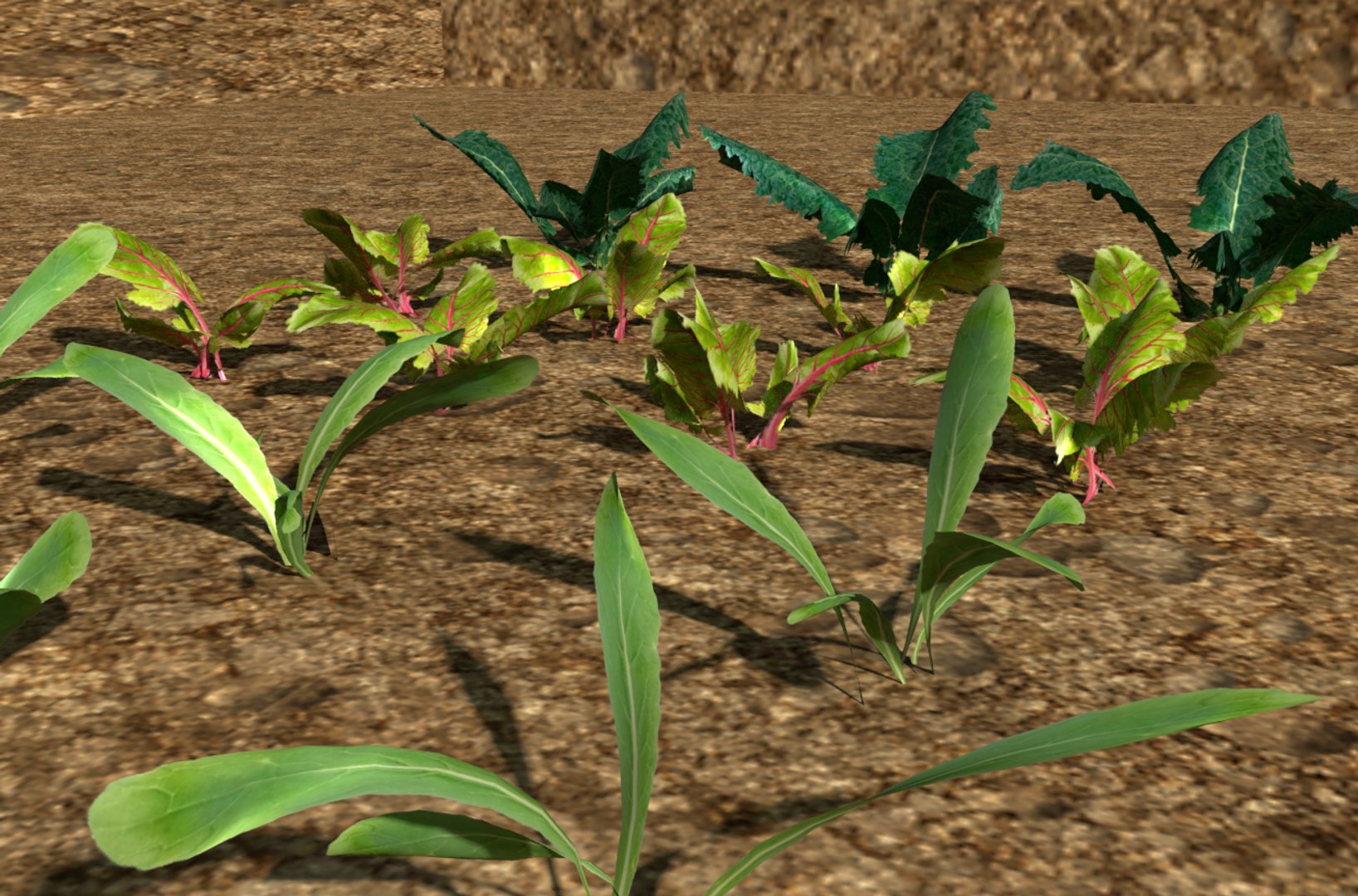 3D Pack Crops Plant Model - TurboSquid 1358045