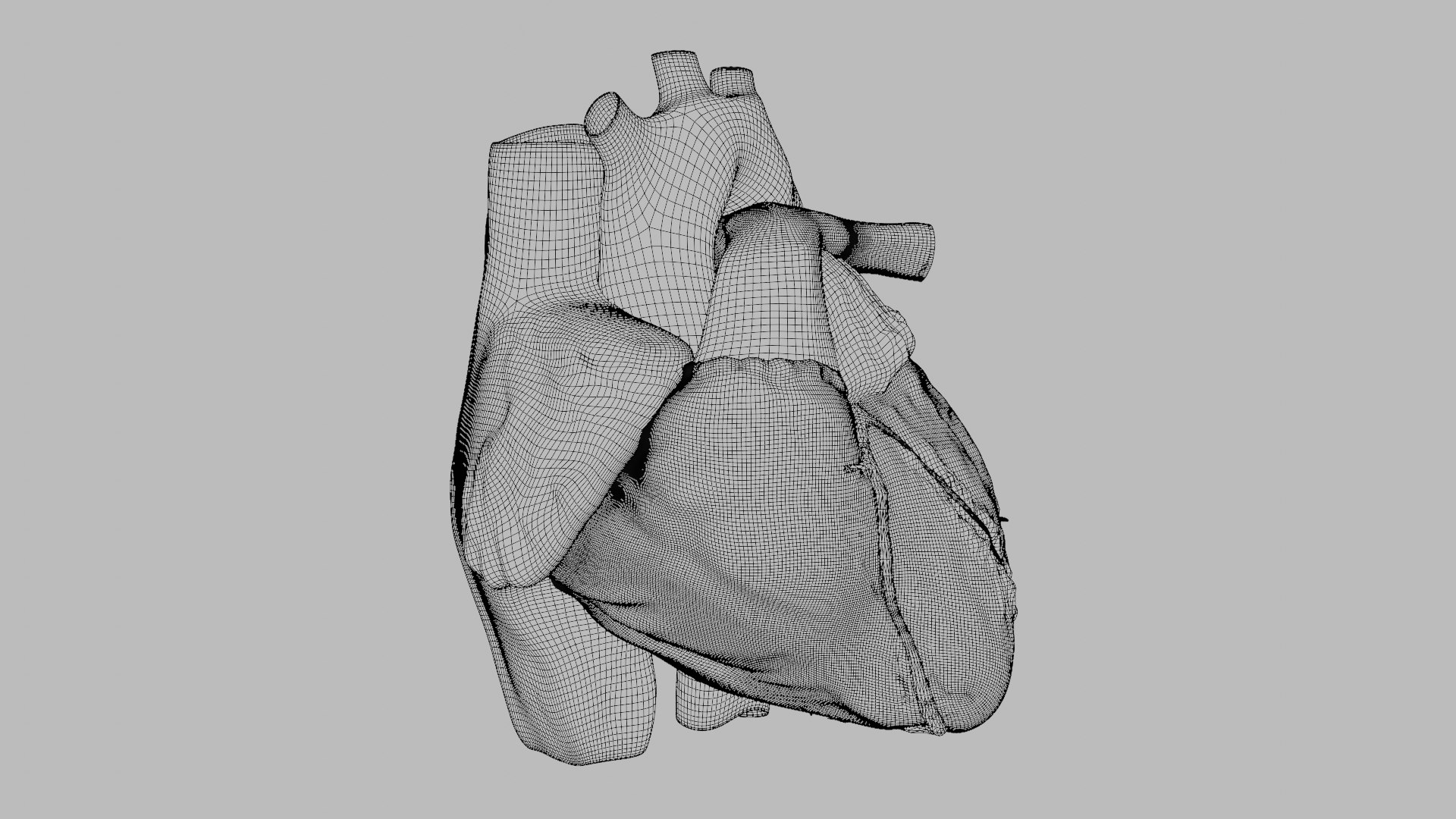 3D Human Heart - TurboSquid 2135928