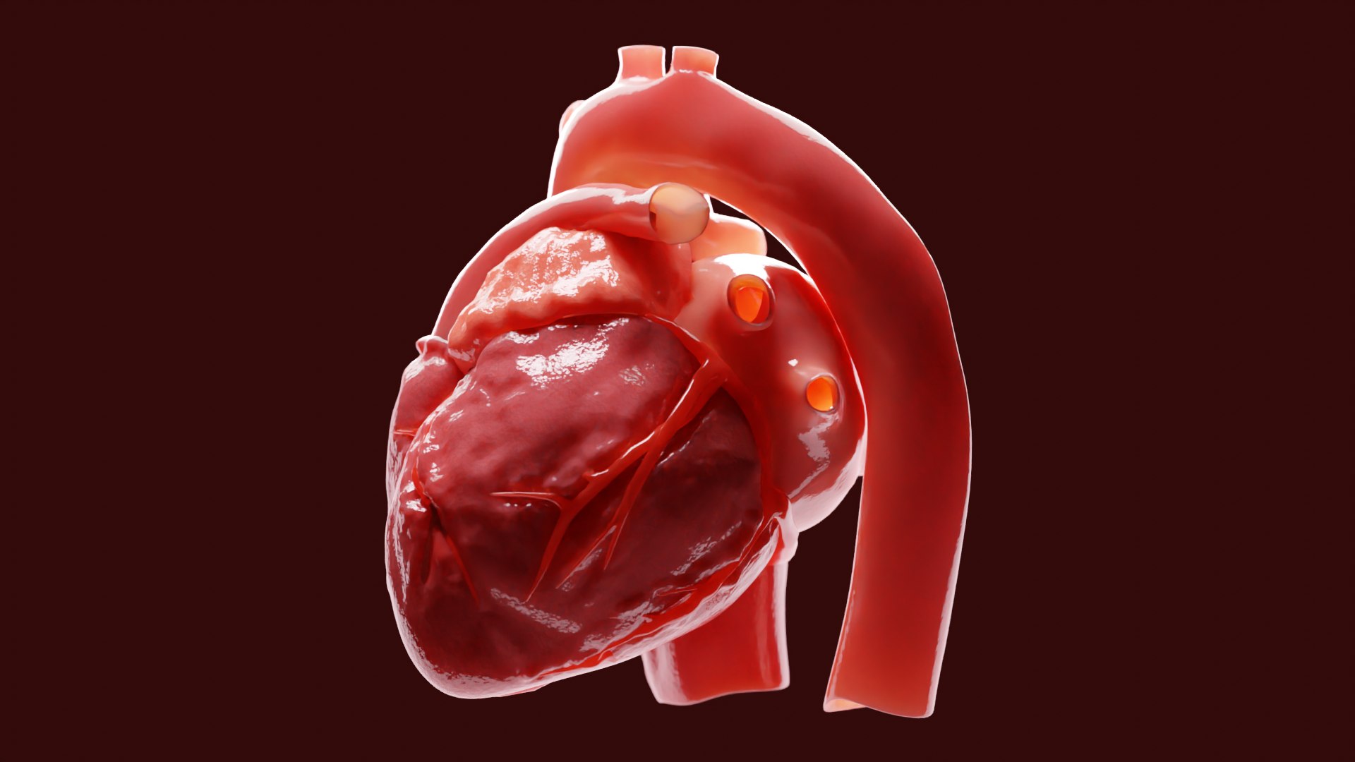 3D Human Heart - TurboSquid 2135928