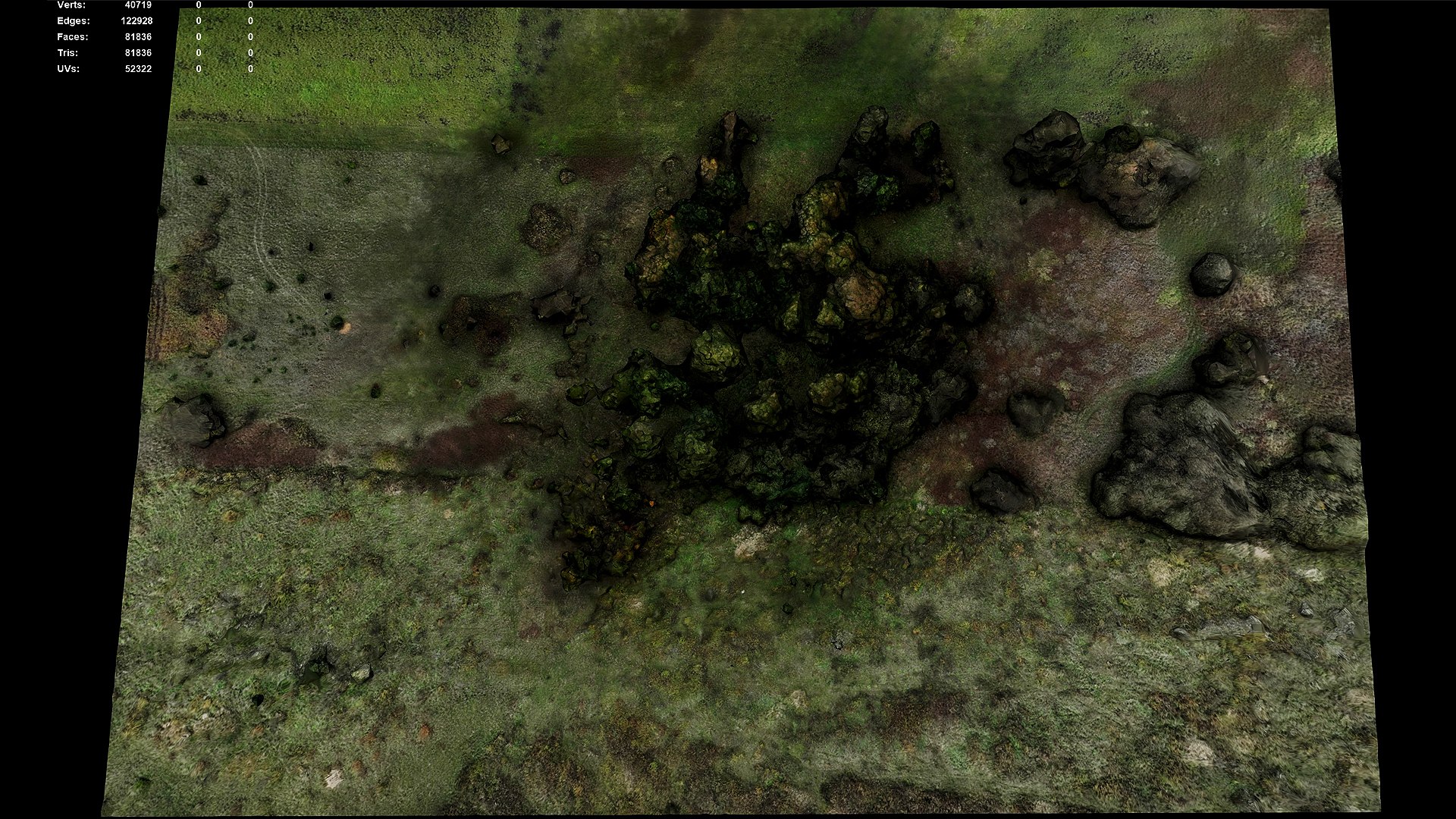3D Forest Ground Trees Field Grass Terrain Part1 Aerial Dronescan Model ...