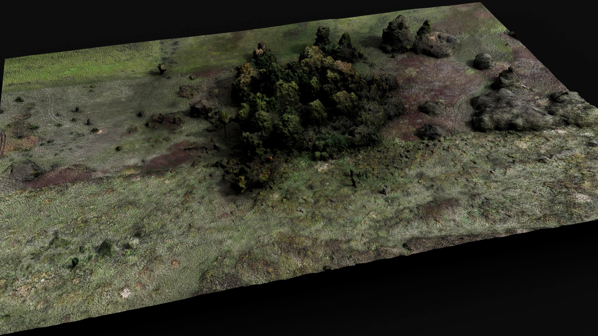 3D Forest Ground Trees Field Grass Terrain Part1 Aerial Dronescan Model ...