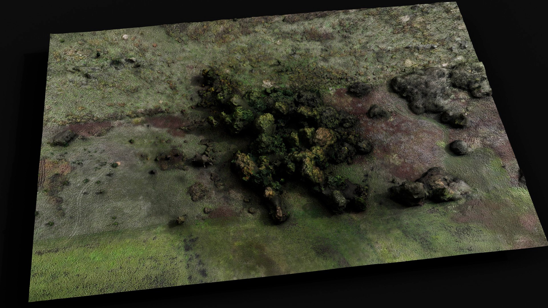 3D Forest Ground Trees Field Grass Terrain Part1 Aerial Dronescan Model ...