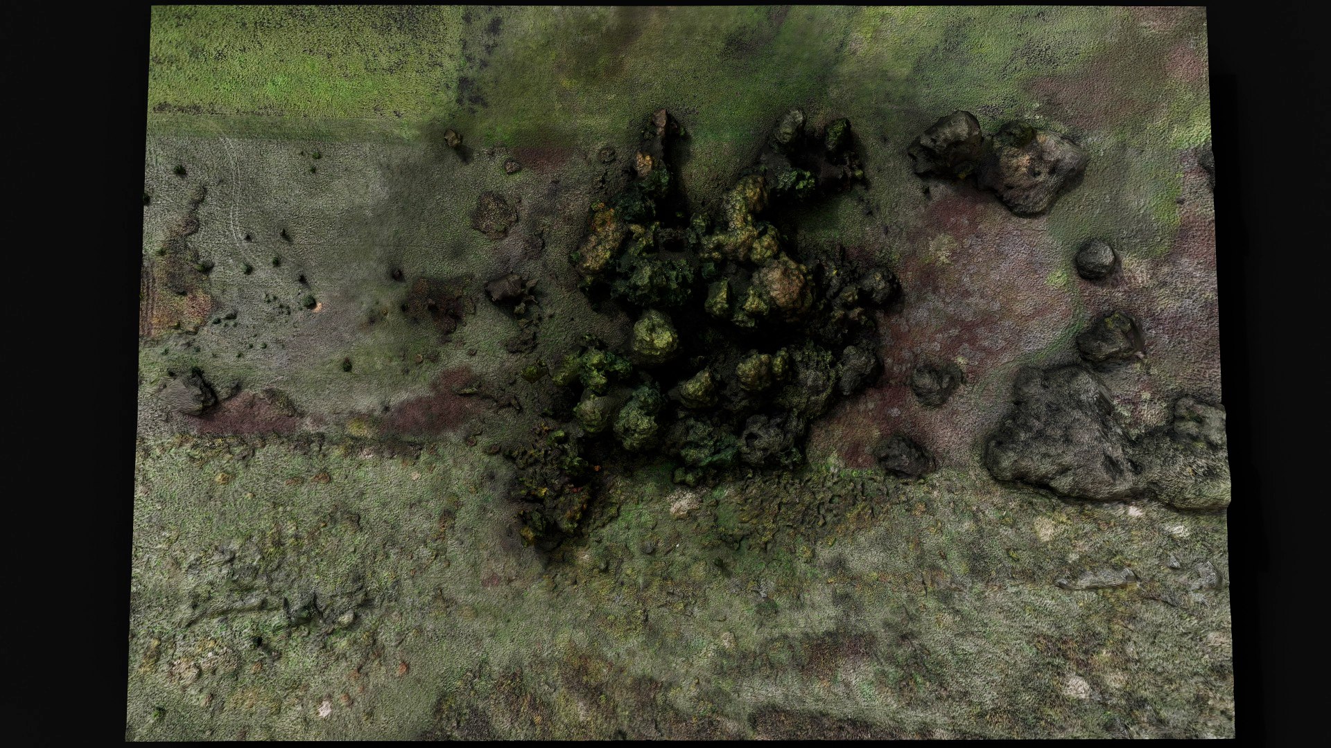 3D Forest Ground Trees Field Grass Terrain Part1 Aerial Dronescan Model ...