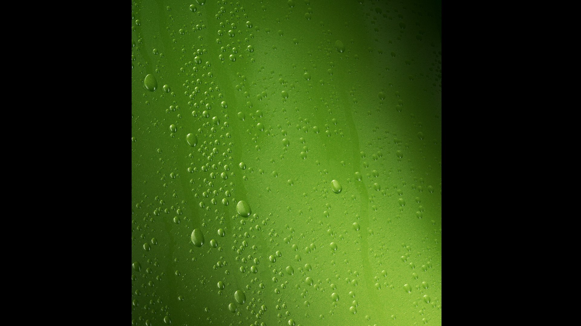 Beer Drops Droplets Condensate Displace Model - TurboSquid 1891604