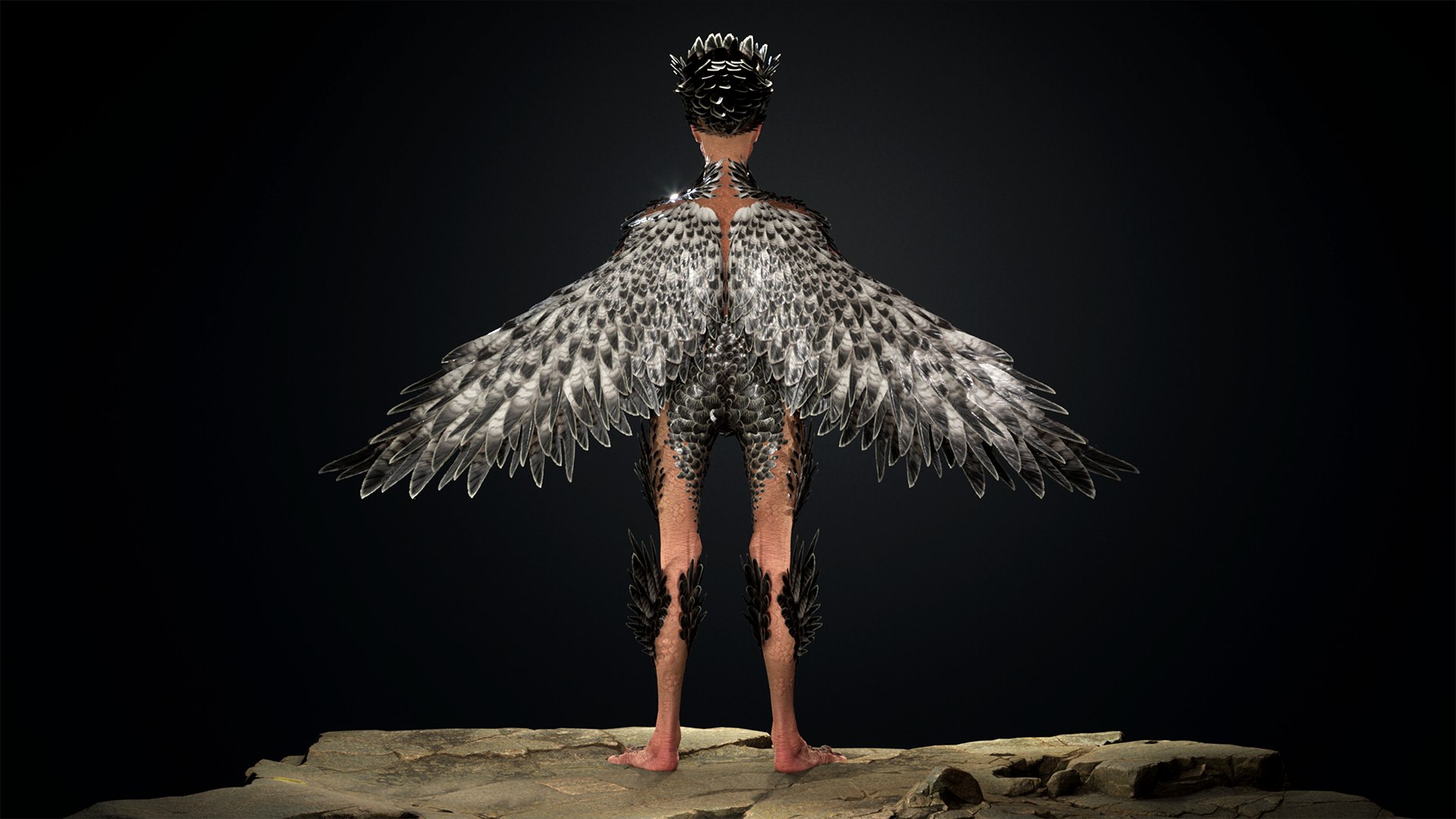 Harpy 3D Model - TurboSquid 2342257